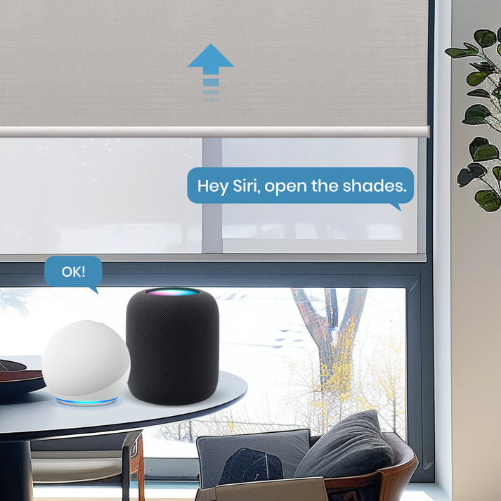 SmartWave Motorized Dual Roller Shades 100% Blackout & Light Filtering